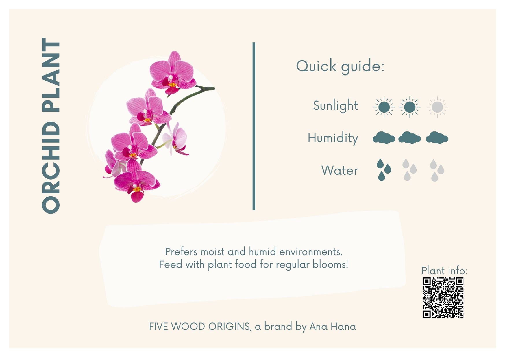 caring-for-your-orchid-plant-916883.jpg?v=1660761184